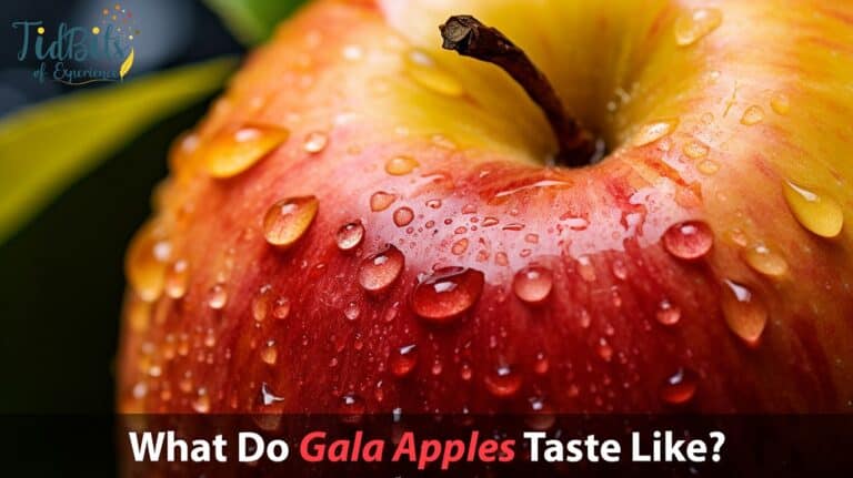 The Gala Apple Taste: A Sweet And Tangy Delight