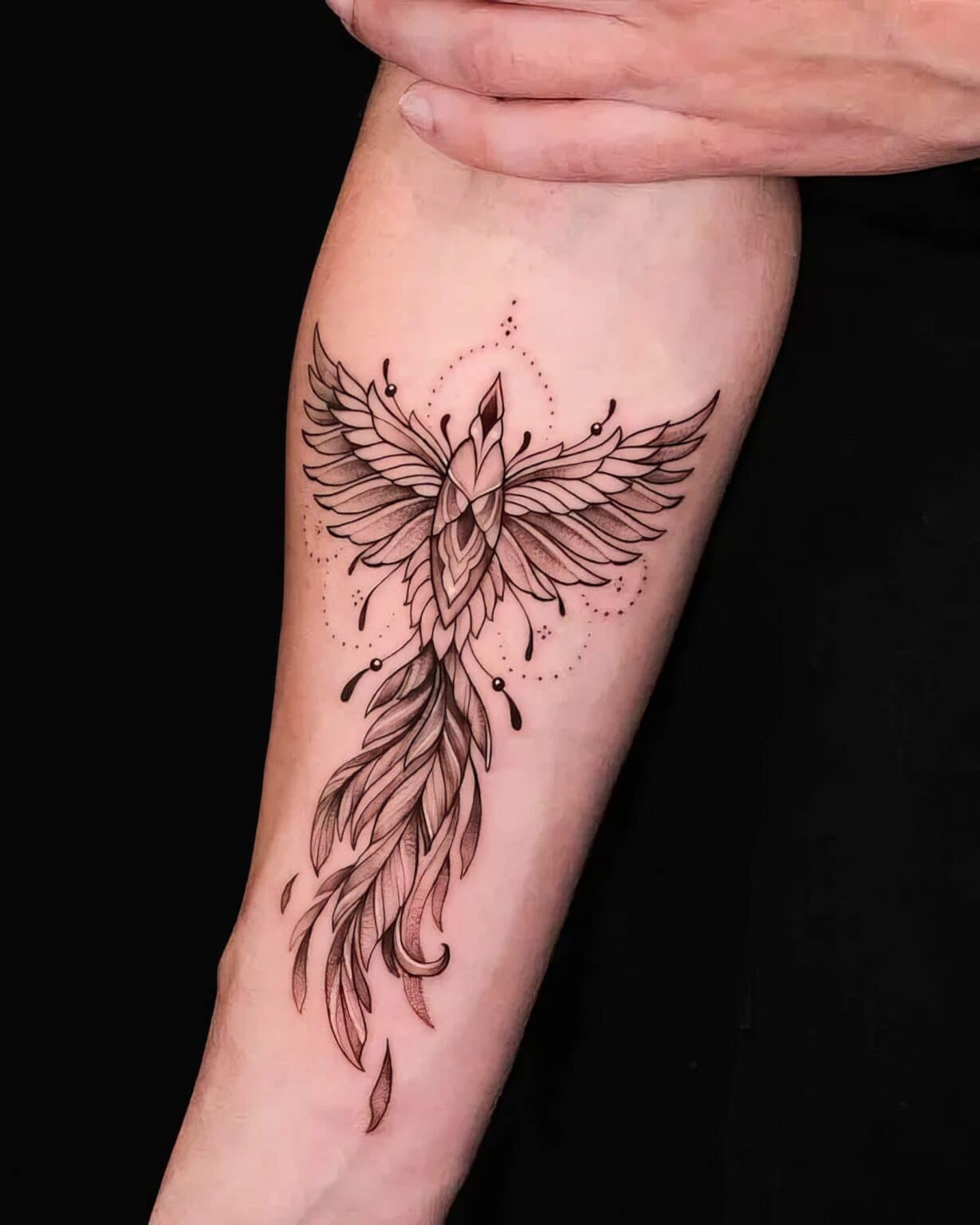 Phoenix Tattoos For Women: 60+ Stunning Ideas Rising In 2025
